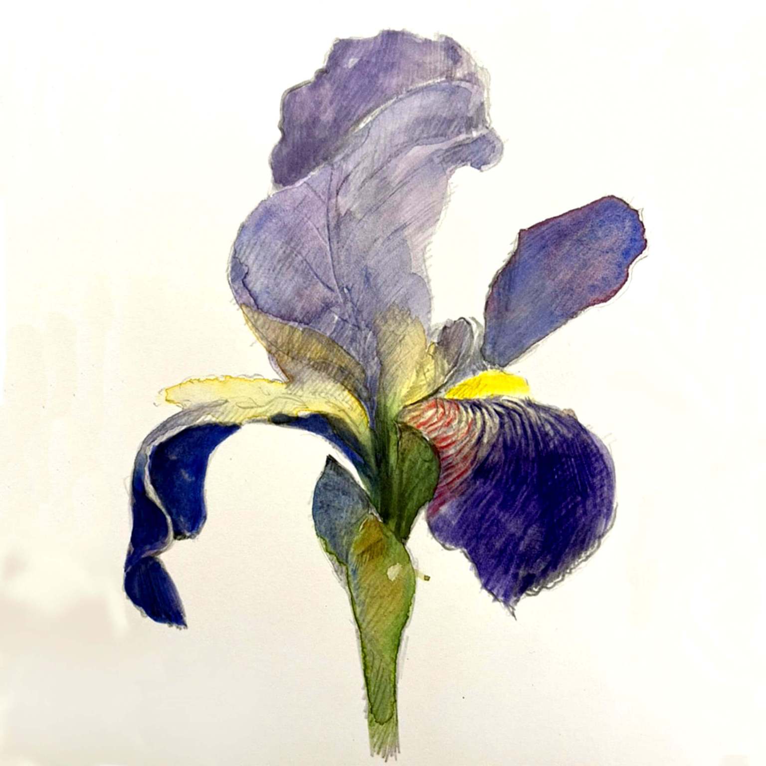 Art Courses! – Newcastle Arts Centre